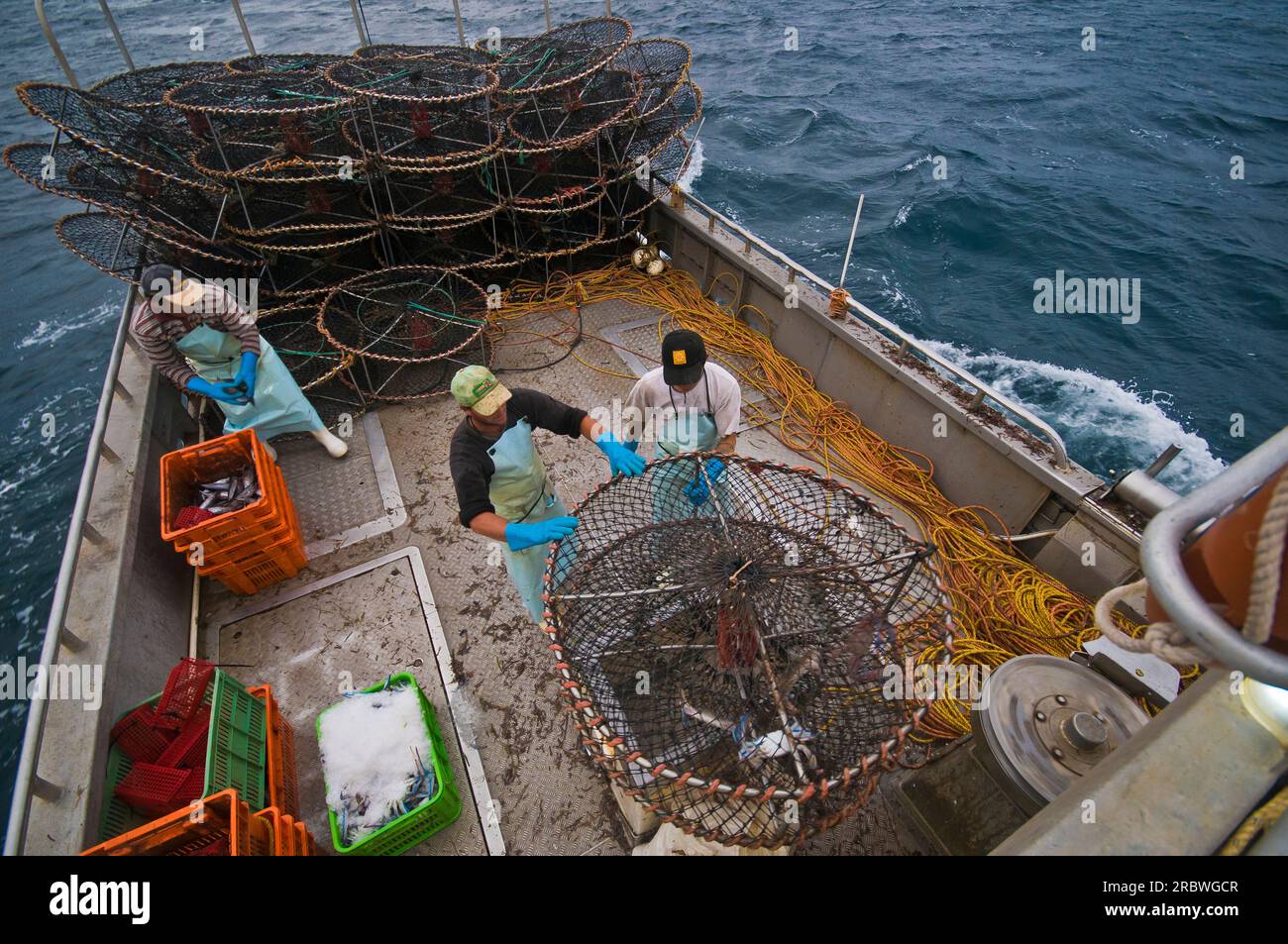 Commercial crab fishing at sea in Shark Bay, Western Australia Stock ...
