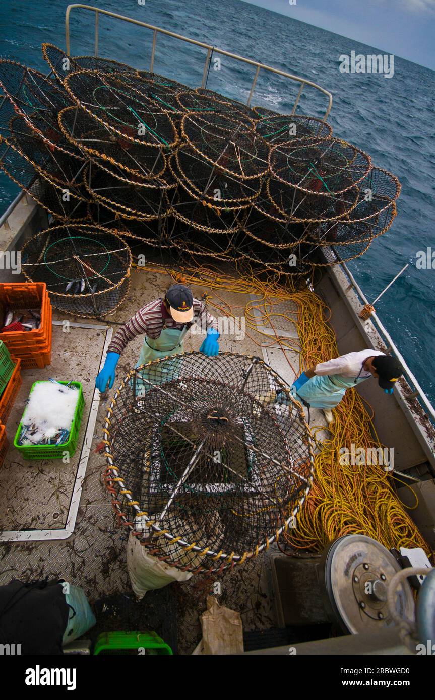 Commercial shark fisheries hi-res stock photography and images - Alamy