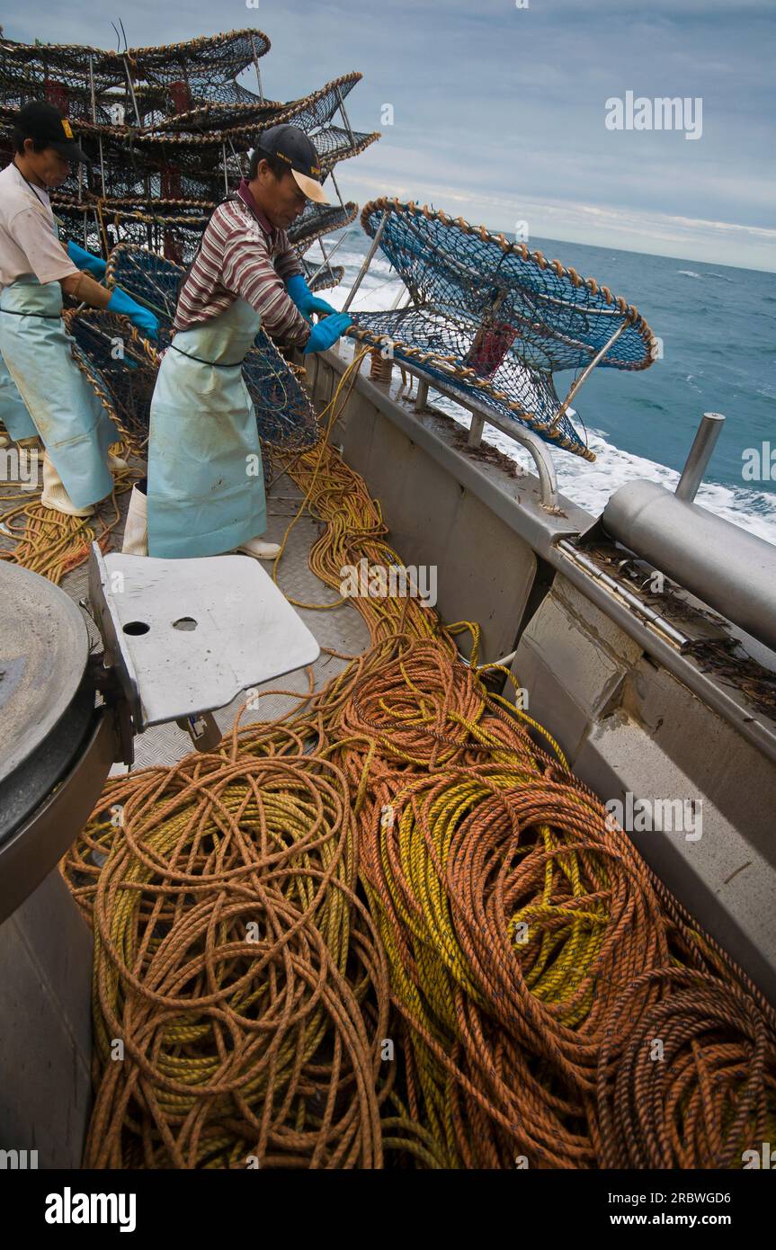 Commercial crab fishing at sea in Shark Bay, Western Australia Stock ...