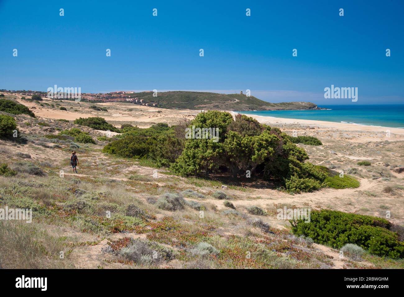 Sardinia pistis beach hi-res stock photography and images - Alamy