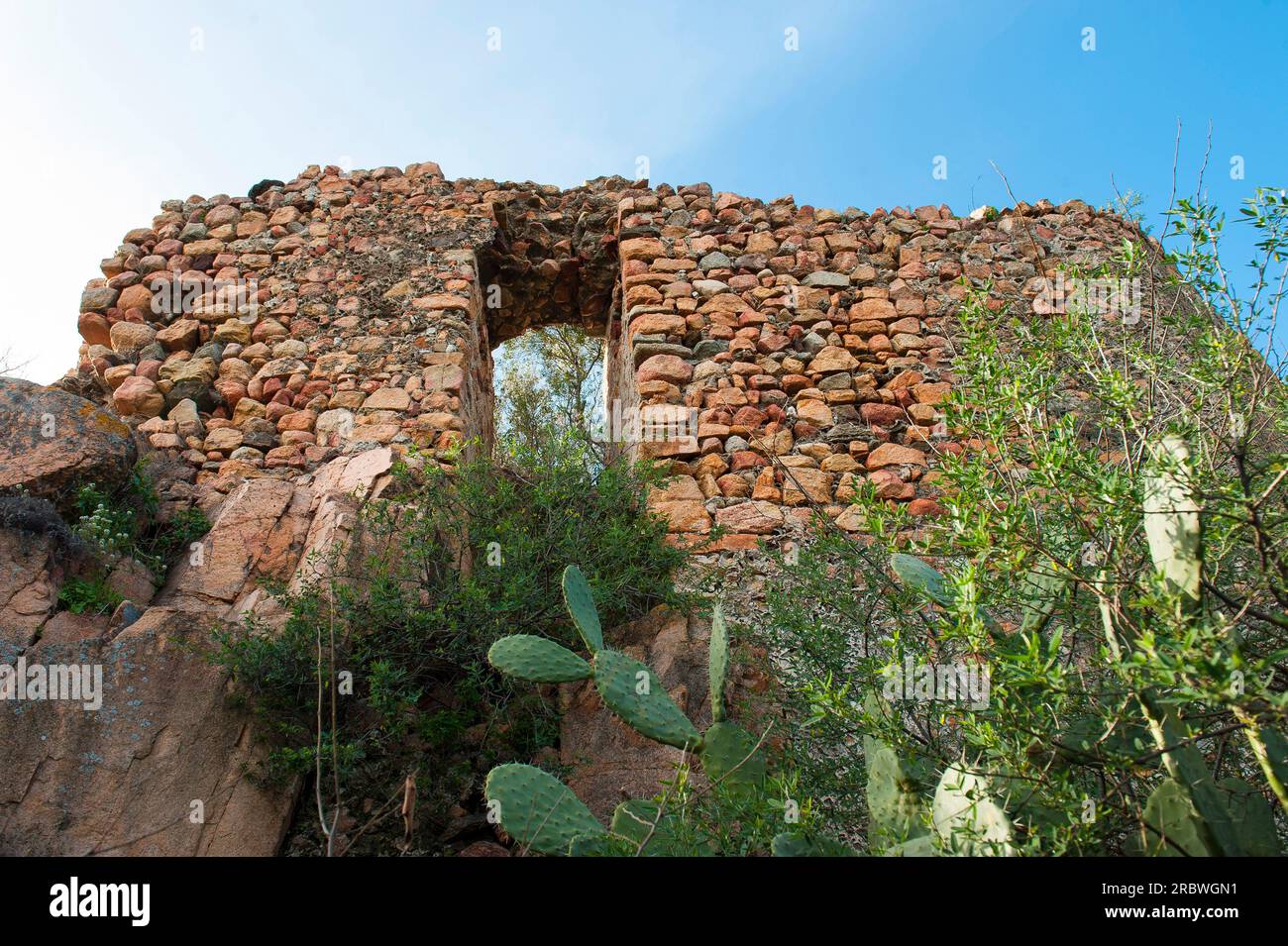 Castello medusa hi-res stock photography and images - Alamy