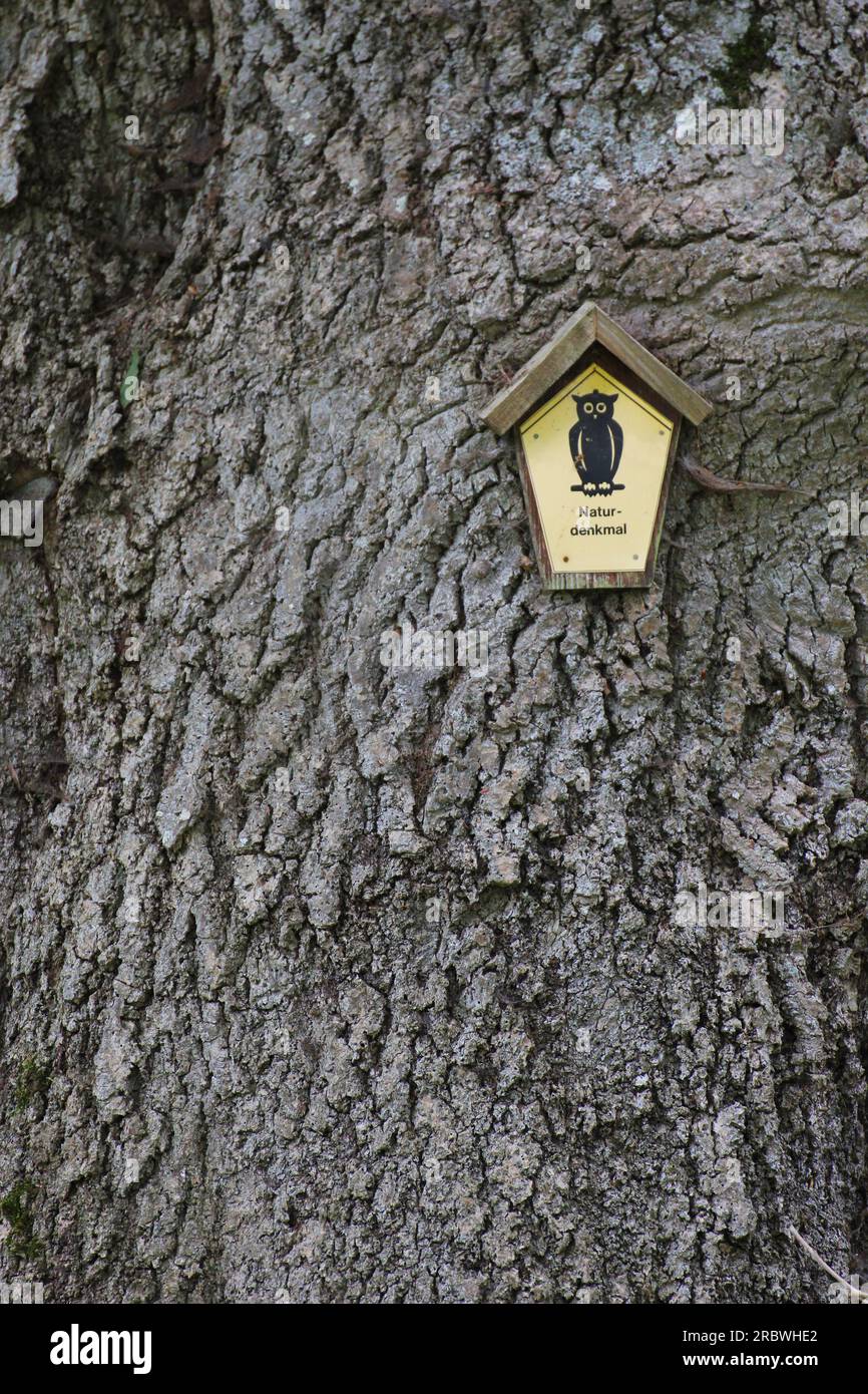 A big tree, protected as natural monument ("Naturdenkmal"). The "owl ...