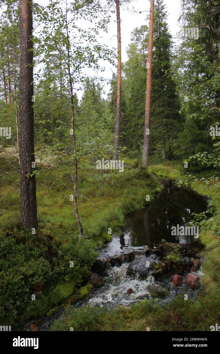 River sweden image black and white hi-res stock photography and images ...