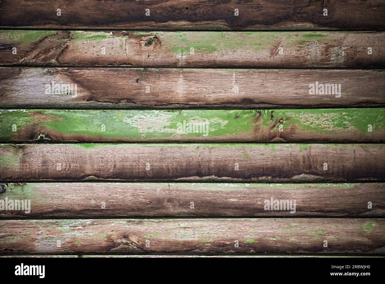Wooden lath texture with green lichen Stock Photo - Alamy