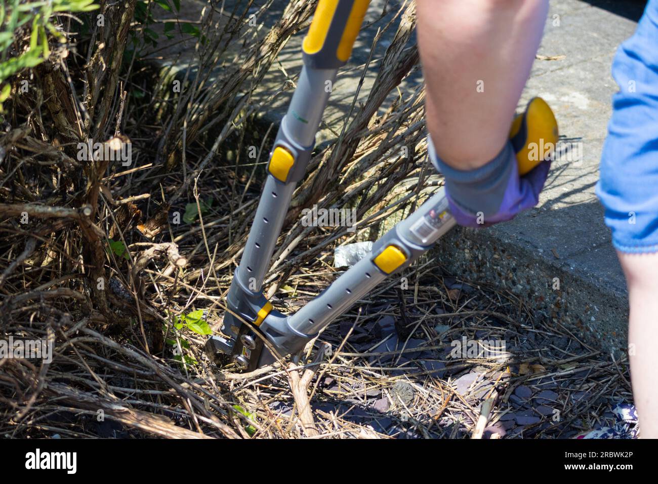 Woman bending over hi-res stock photography and images - Alamy