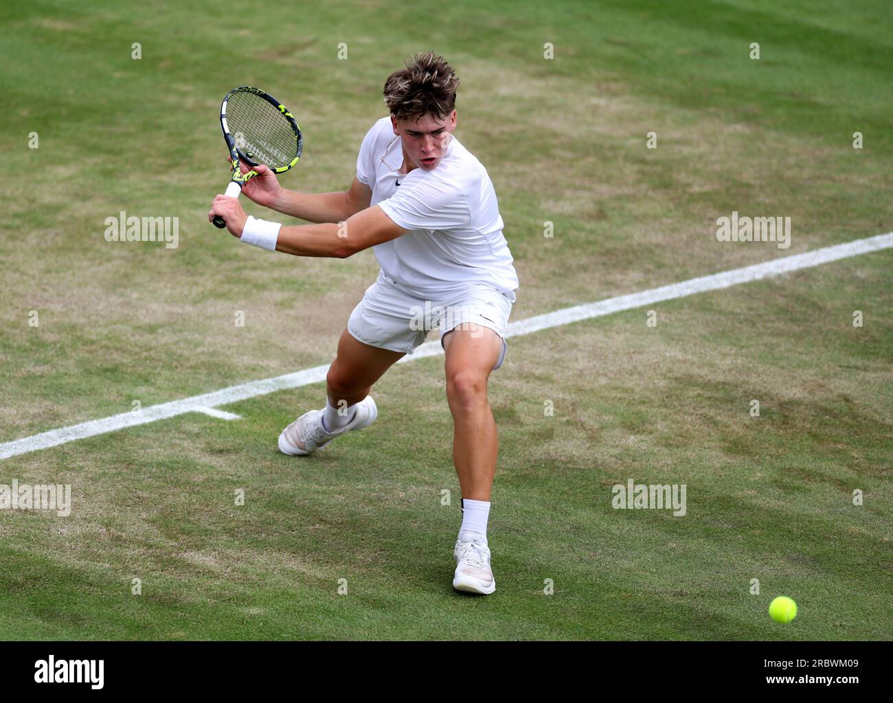 Darwin blanch hi-res stock photography and images - Alamy