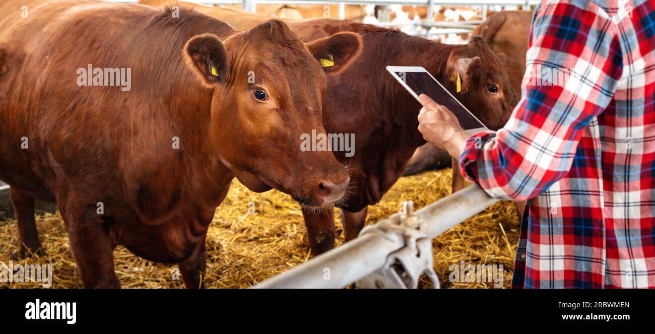 Animals health and condition control at livestock farm using wireless ...
