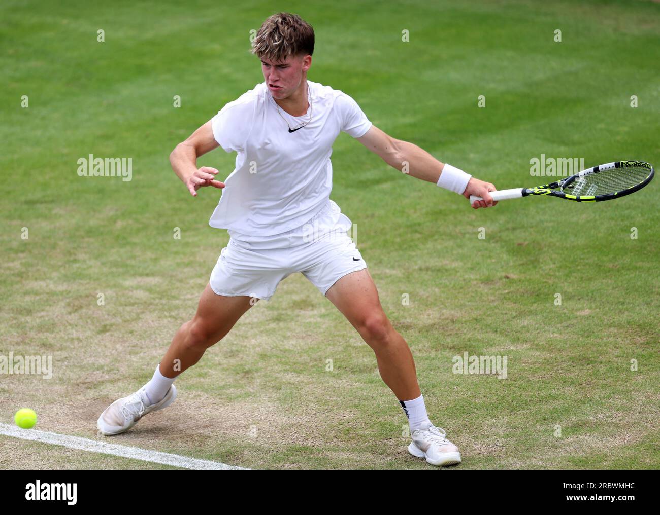 Darwin blanch hi-res stock photography and images - Alamy