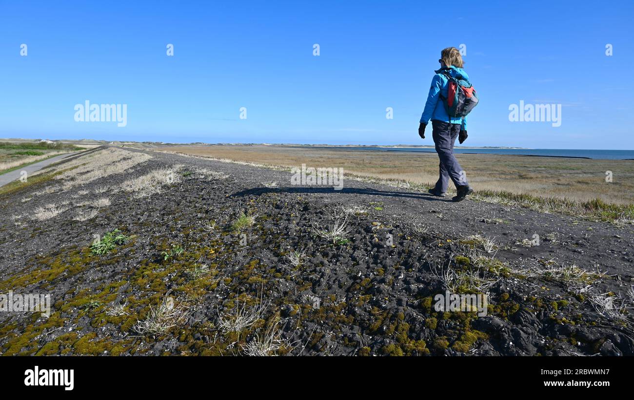 Wadden sea coast hi-res stock photography and images - Alamy