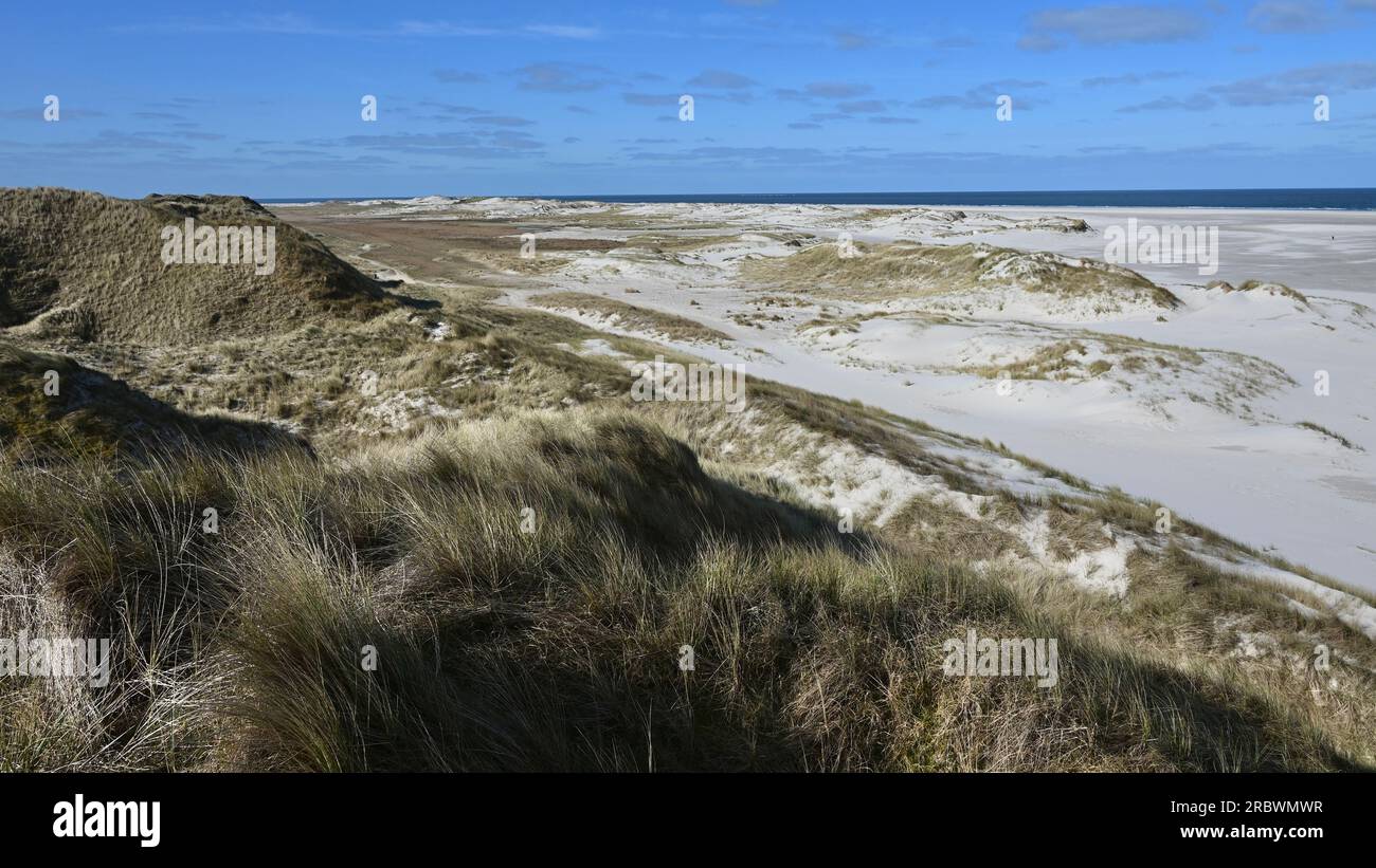 Coastal scenery neer the village of Norden on the Island of Amrum ...