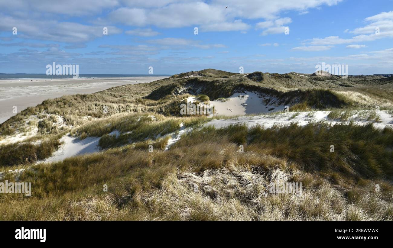 Coastal scenery neer the village of Norden on the Island of Amrum ...