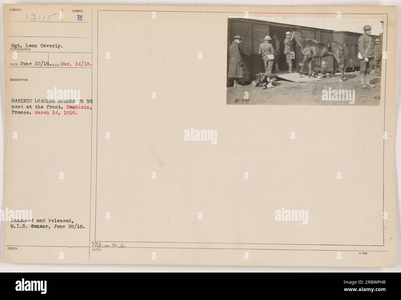 Soldiers from the United States Marine Corps loading horses to be used ...