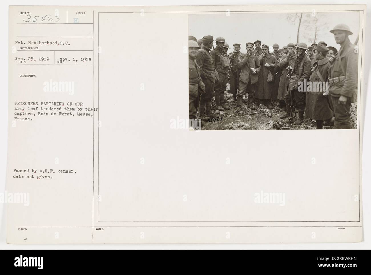 American soldiers captured German prisoners of war in Bois de Foret ...
