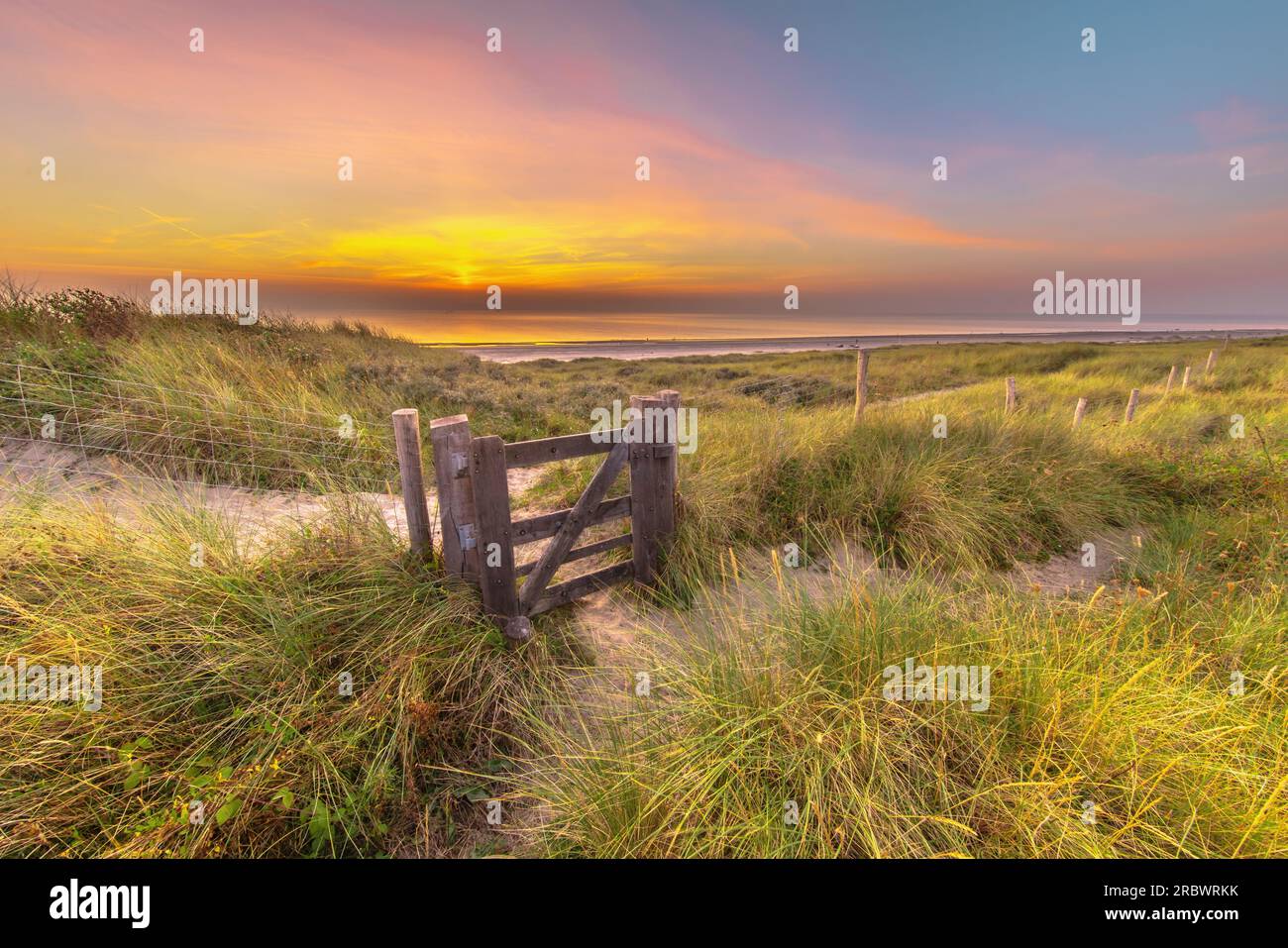 Trail through dune landscape on the coastline of North Sea. Wijk aan ...