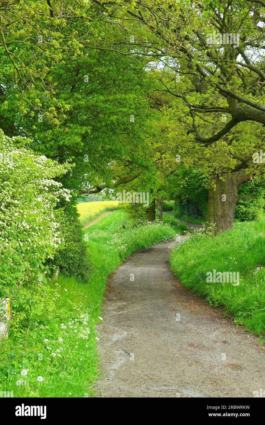 Whitwell hertfordshire hi-res stock photography and images - Alamy