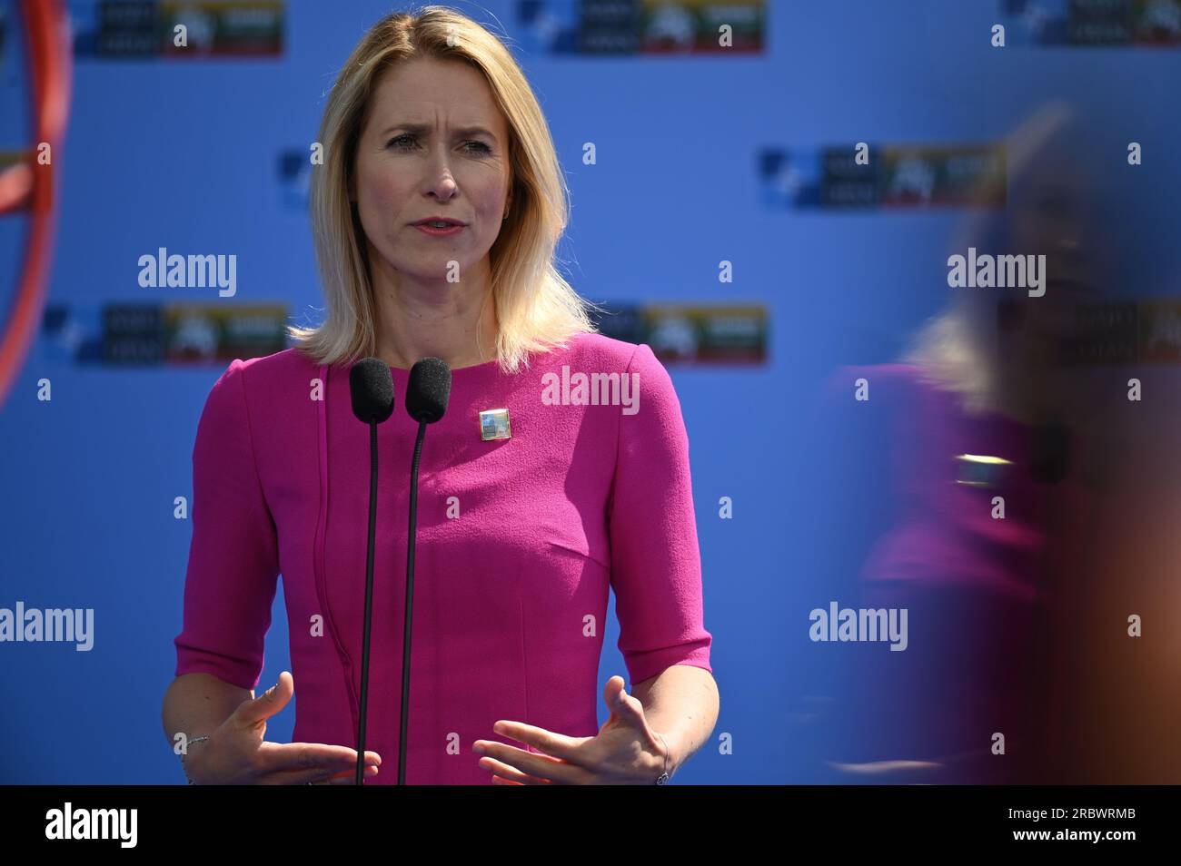 Nato Public Forum 2023 at the Lithuanian Exhibition and Congress Center ...