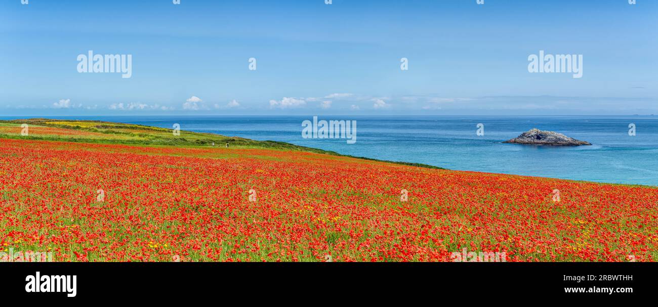 West pentire cornwall hi-res stock photography and images - Alamy