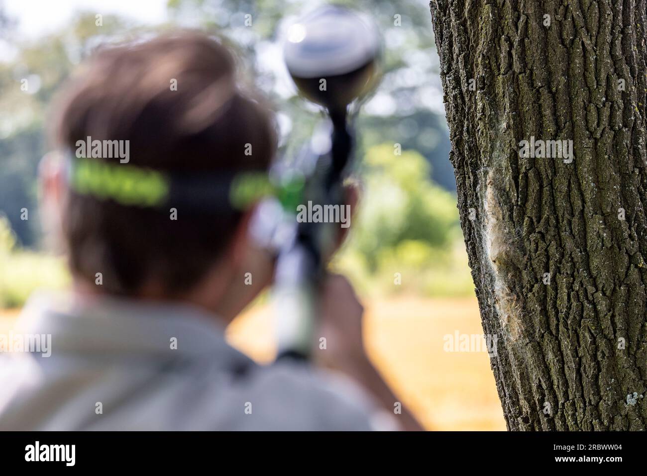 Moth balls hi-res stock photography and images - Alamy