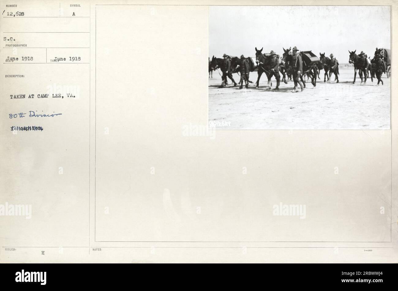 Soldiers from the 80th Division of the American military at Camp Lee ...
