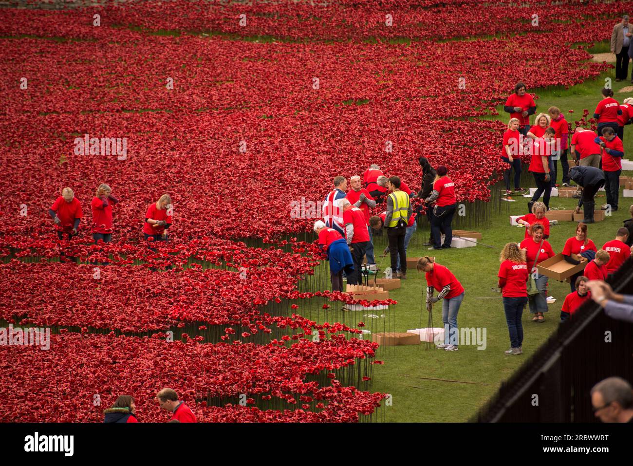 Volunteers planting poppies at the TOWER OF LONDON REMEMBERS WWI ...