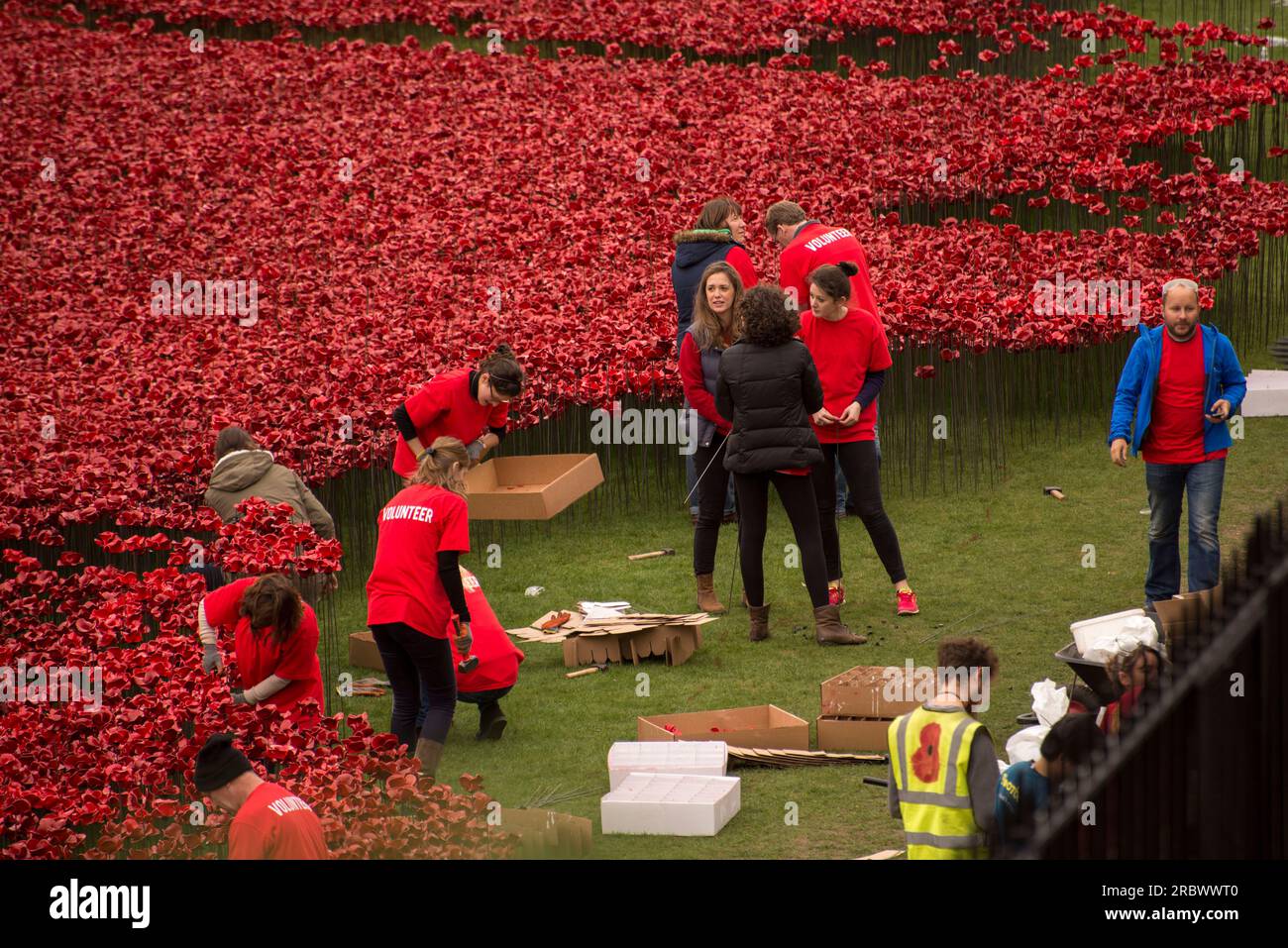 Volunteers planting poppies at the TOWER OF LONDON REMEMBERS WWI ...