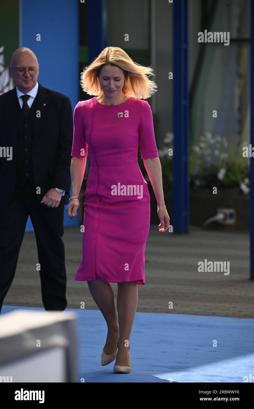 Vilnius, Lithuania. 11th July, 2023. Nato Public Forum 2023 at the ...
