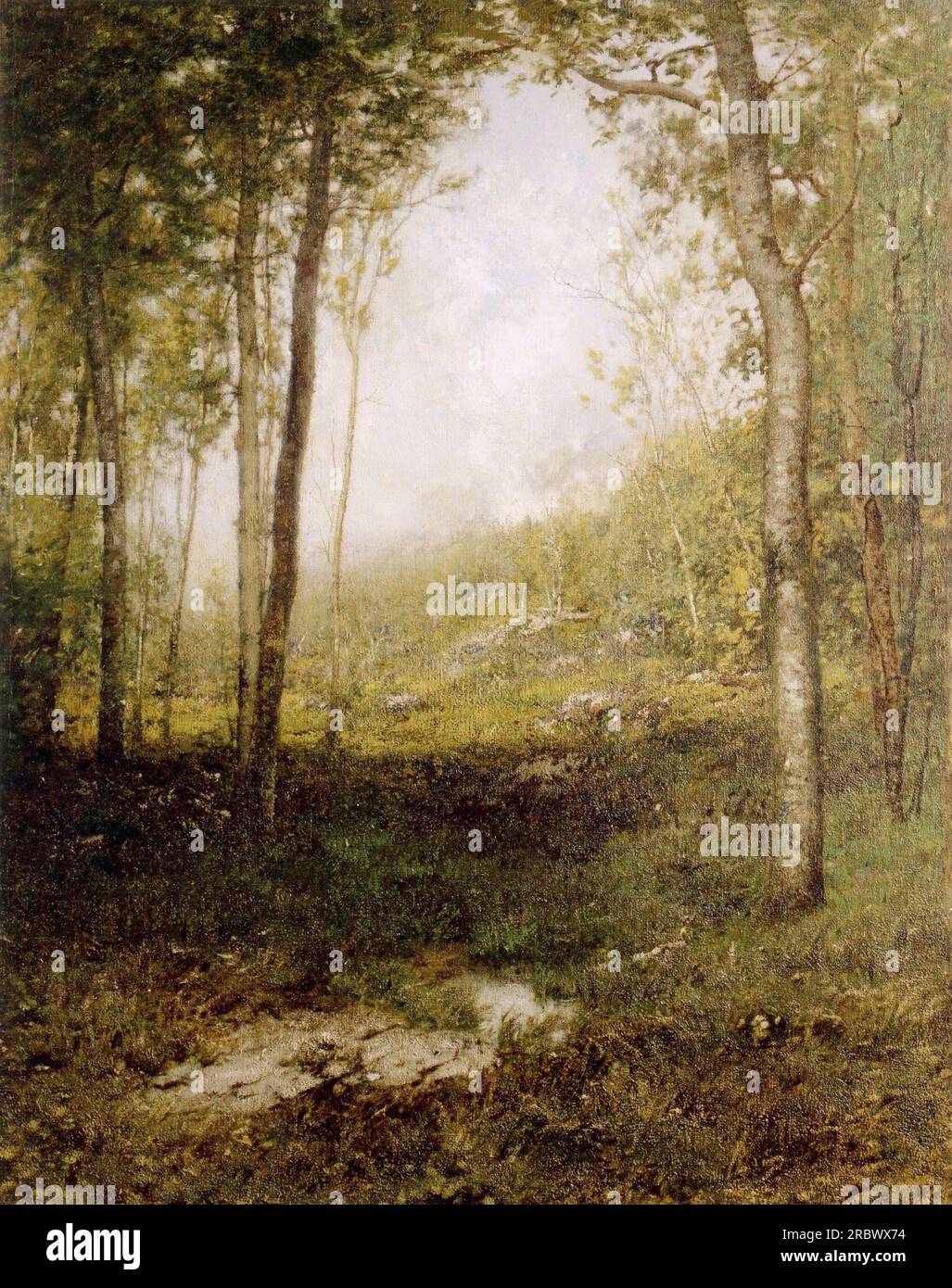 Forenoon In the Adirondacks 1885 by Alexander Helwig Wyant Stock Photo ...