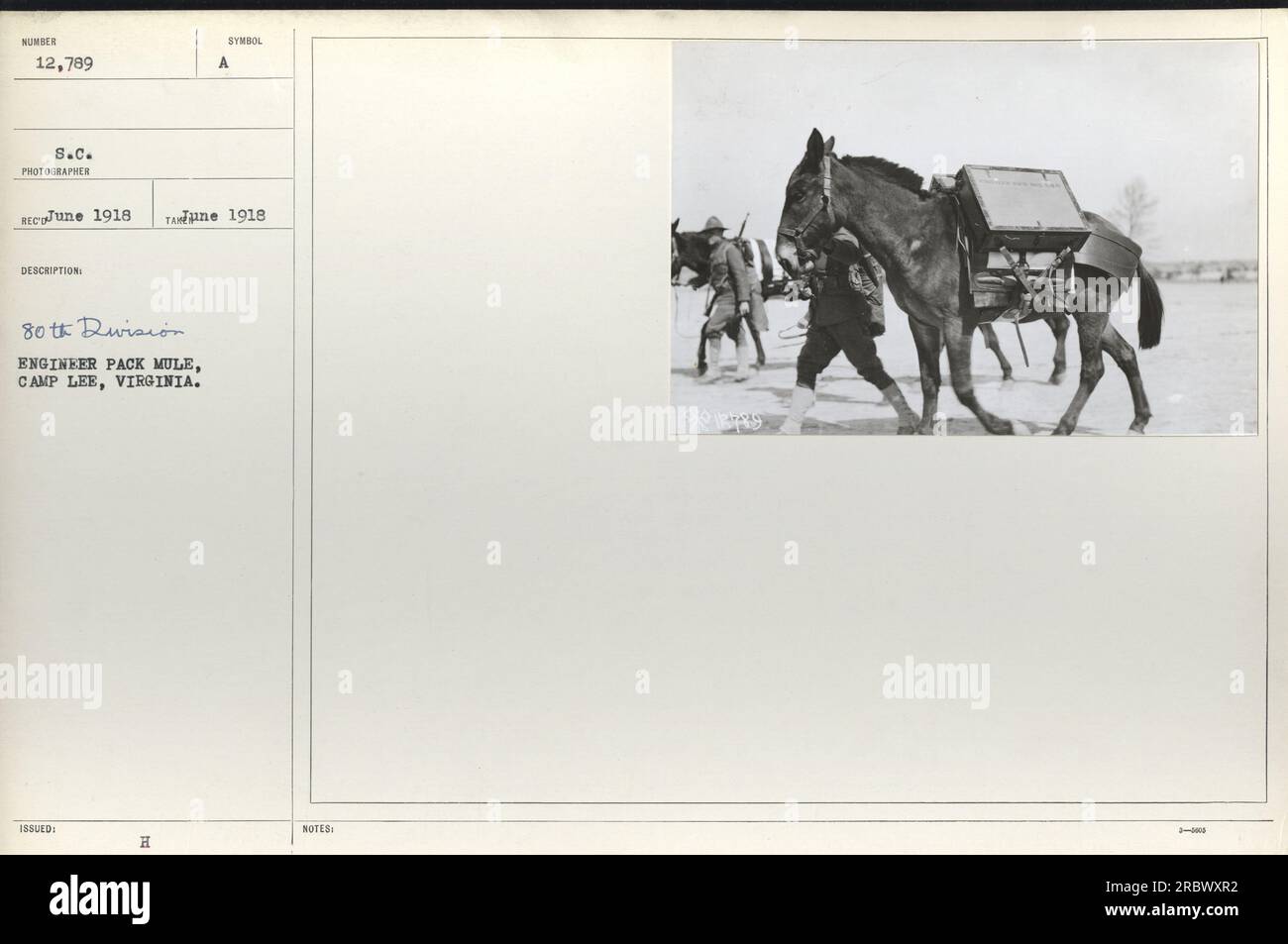 Pack mule unit hi-res stock photography and images - Alamy