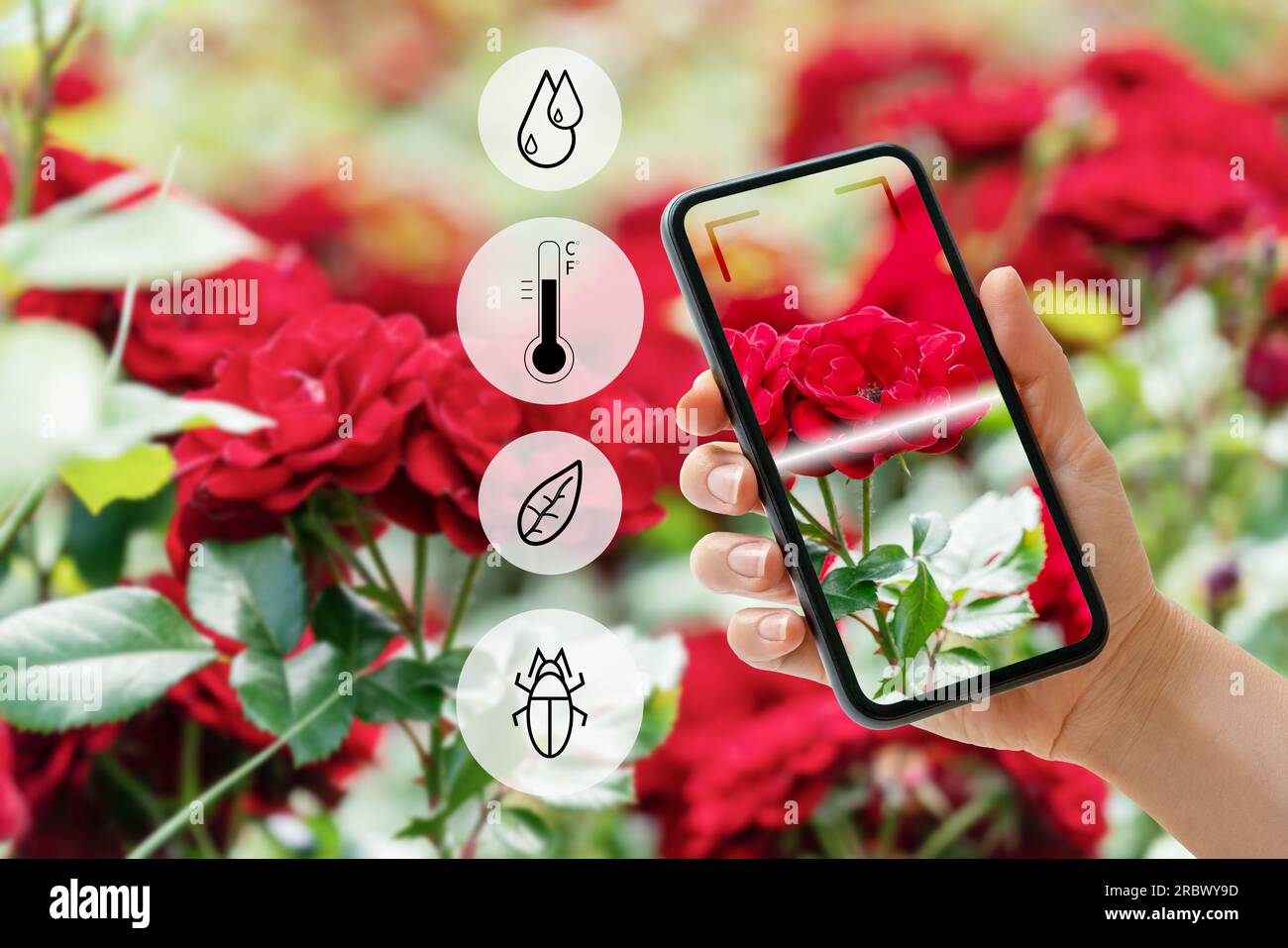 Smart botany technology mobile app for farming and cultivating ...