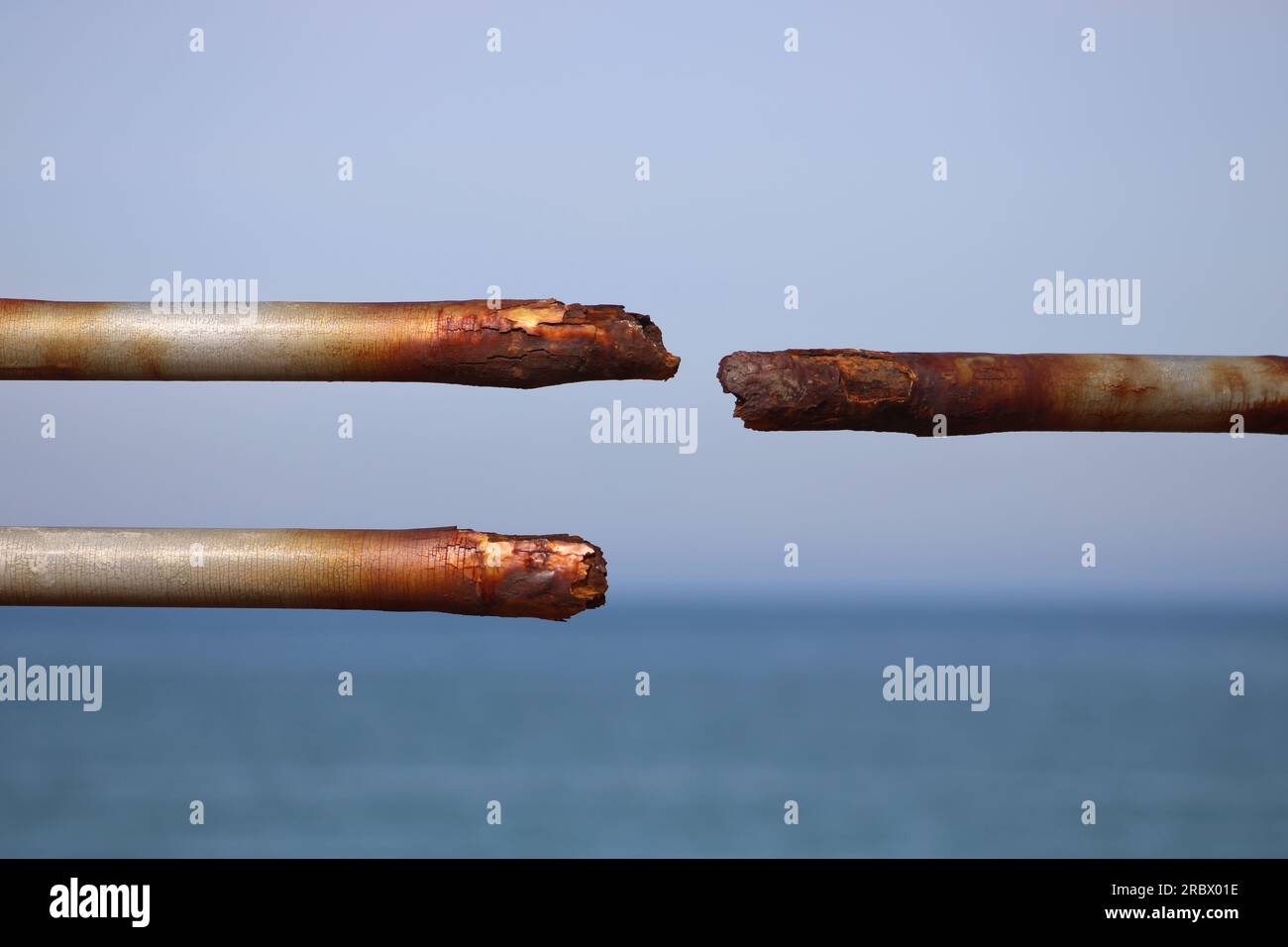 A rusty fence with a blue sea in the background.Rusty iron railing ...