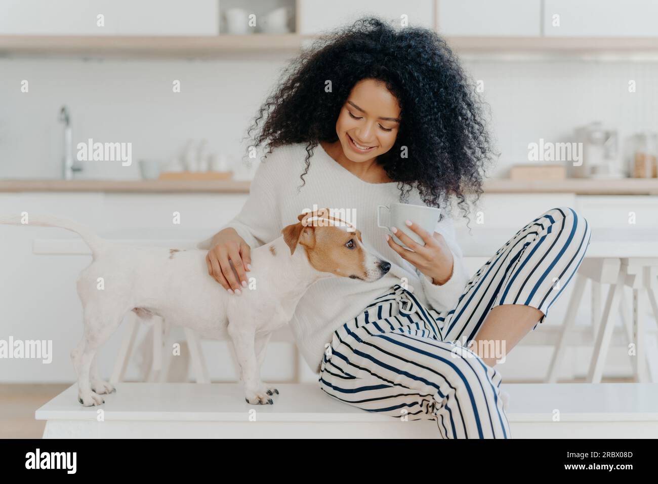 Lovely African American woman on coffee break, petting pedigree dog ...