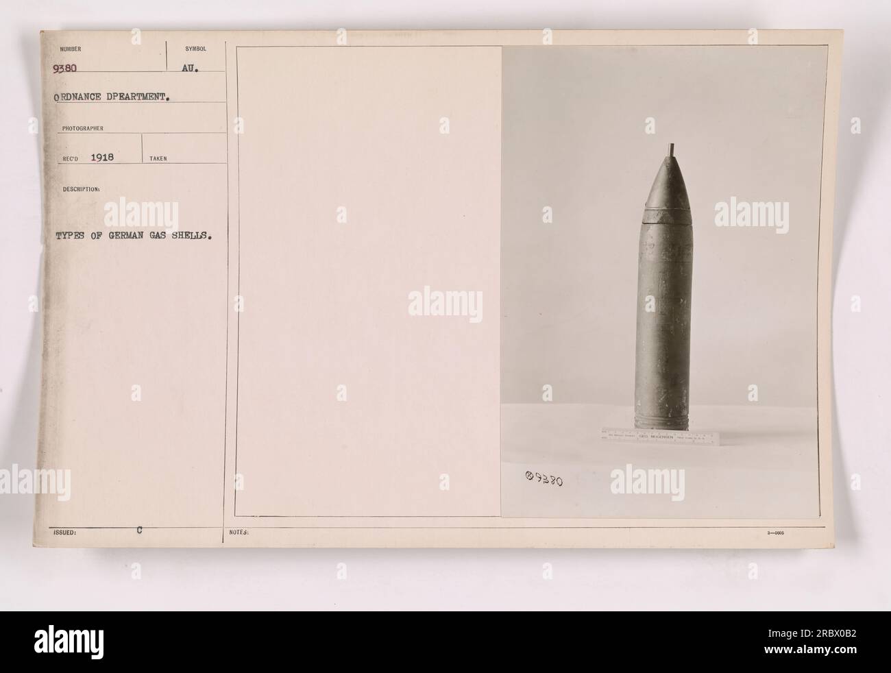 Three distinct shell types hi-res stock photography and images - Alamy