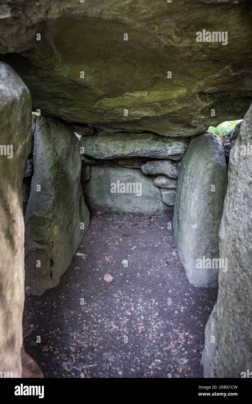 A burial chamber within Wayland's Smithy Neolithic Long Barrow on the ...