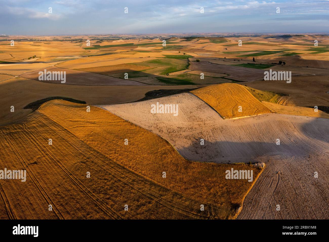 Early morning in the Meseta, a spanish region with crop fields. Spain ...