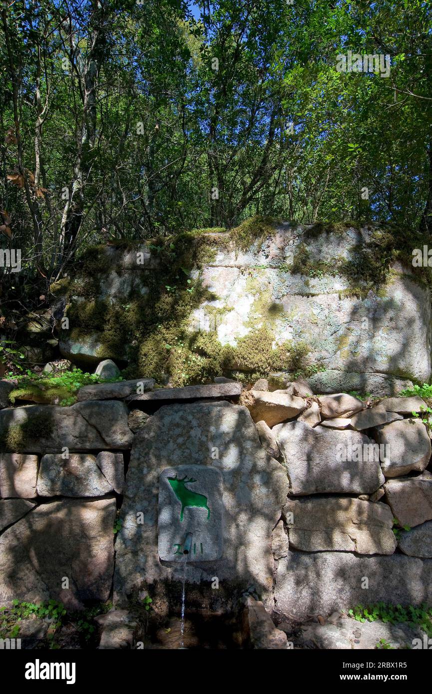 Oasis WWF Monte Arcosu. The Monte Arcosu - Piscinamanna forest complex ...