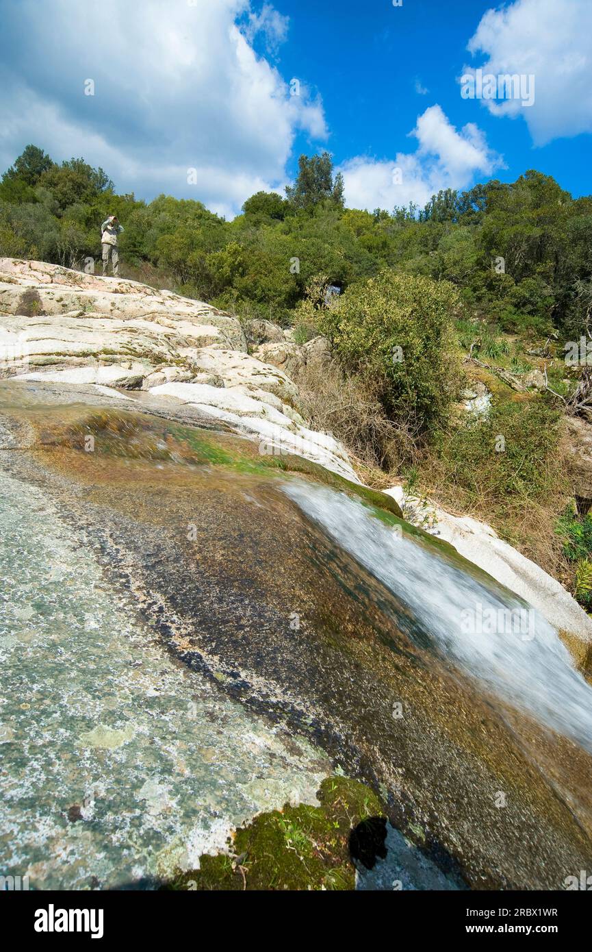 Oasis WWF Monte Arcosu. The Monte Arcosu - Piscinamanna forest complex ...