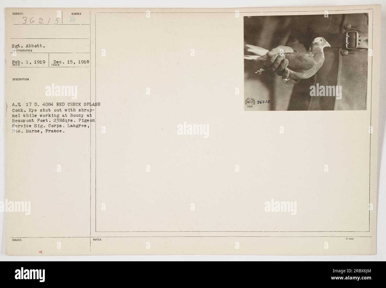 Sergeant Abbott, photographed on December 15, 1918, had his eye injured ...