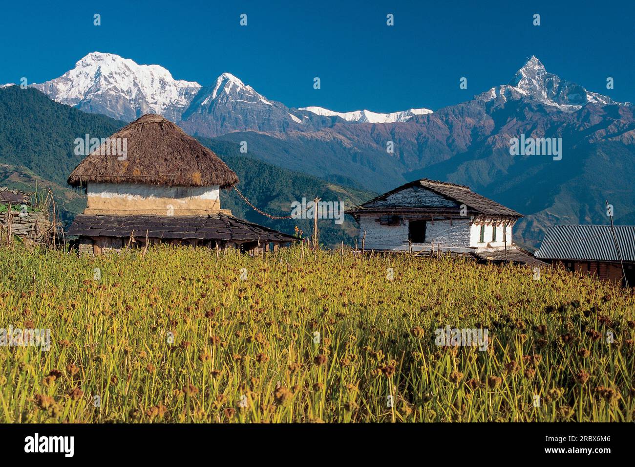 Magnificent view of Mt. Fishtail and Annapurna Range with typical ...