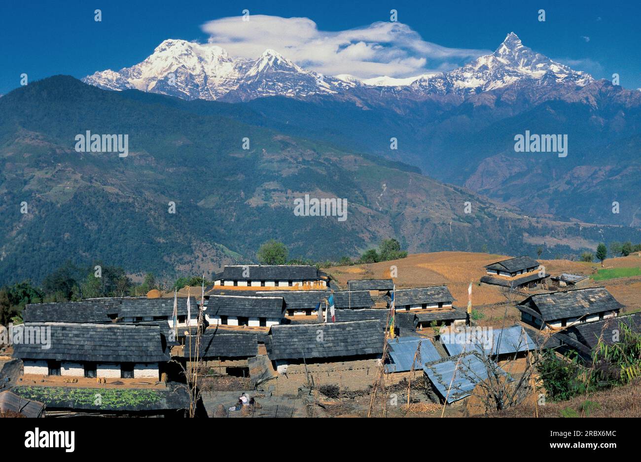 Magnificent view of Mt. Fishtail and Annapurna Range with typical ...