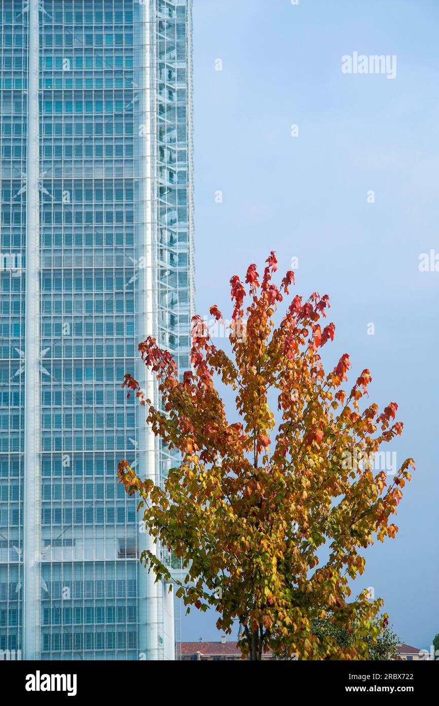Tree and Skyscraper Intesa San Paolo Bank, Architet Renzo Piano, Turin ...