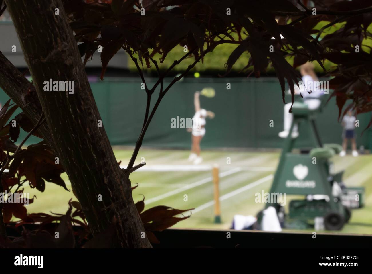 Teodora kostovic hi-res stock photography and images - Alamy