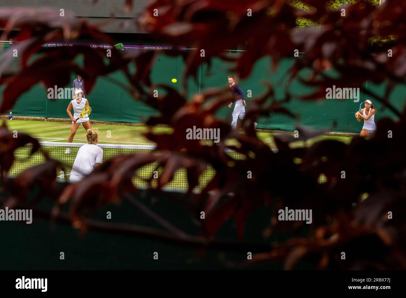 Teodora kostovic hi-res stock photography and images - Alamy