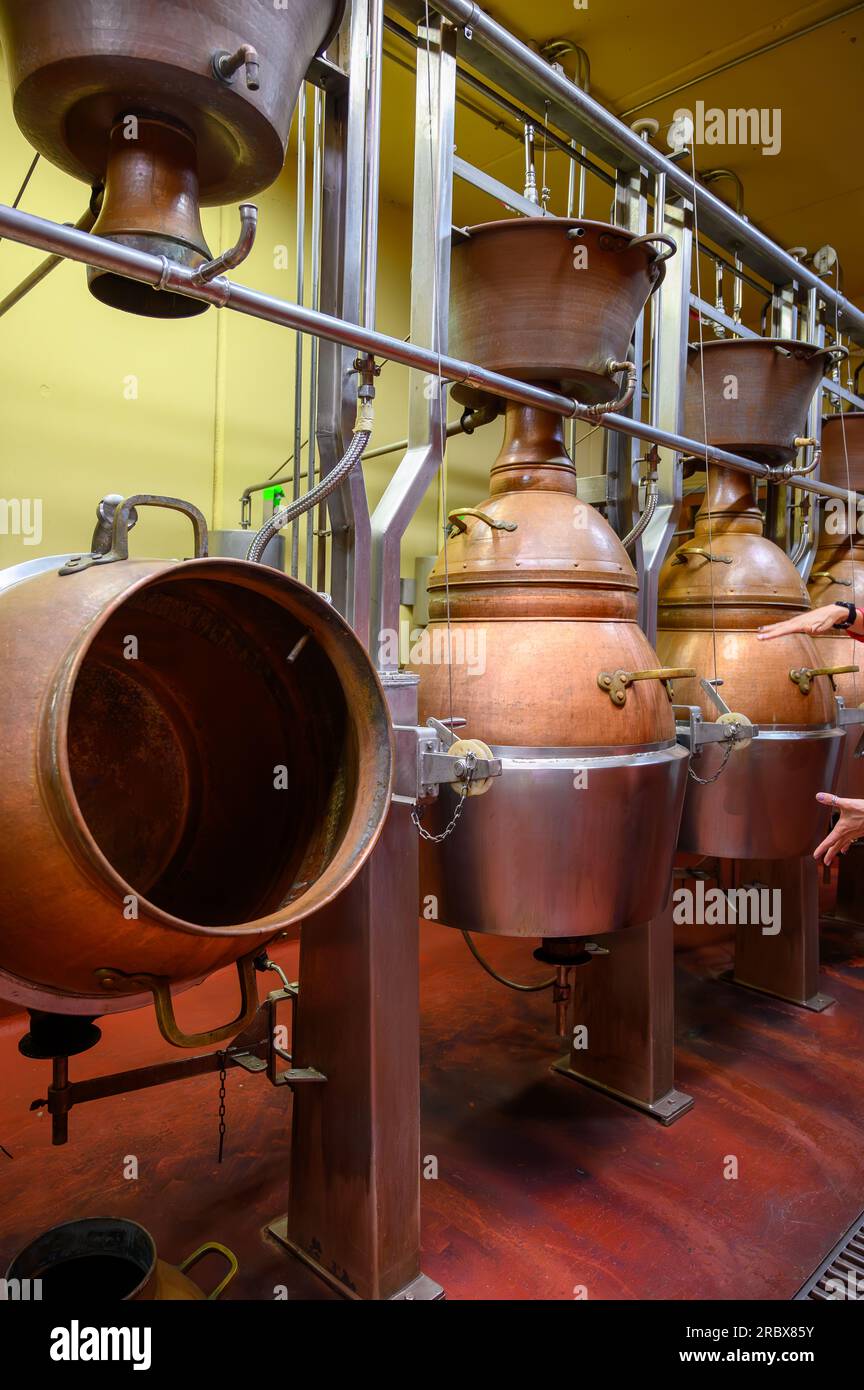 Gin alcoholic drink distillation process in copper tanks in Spanish ...