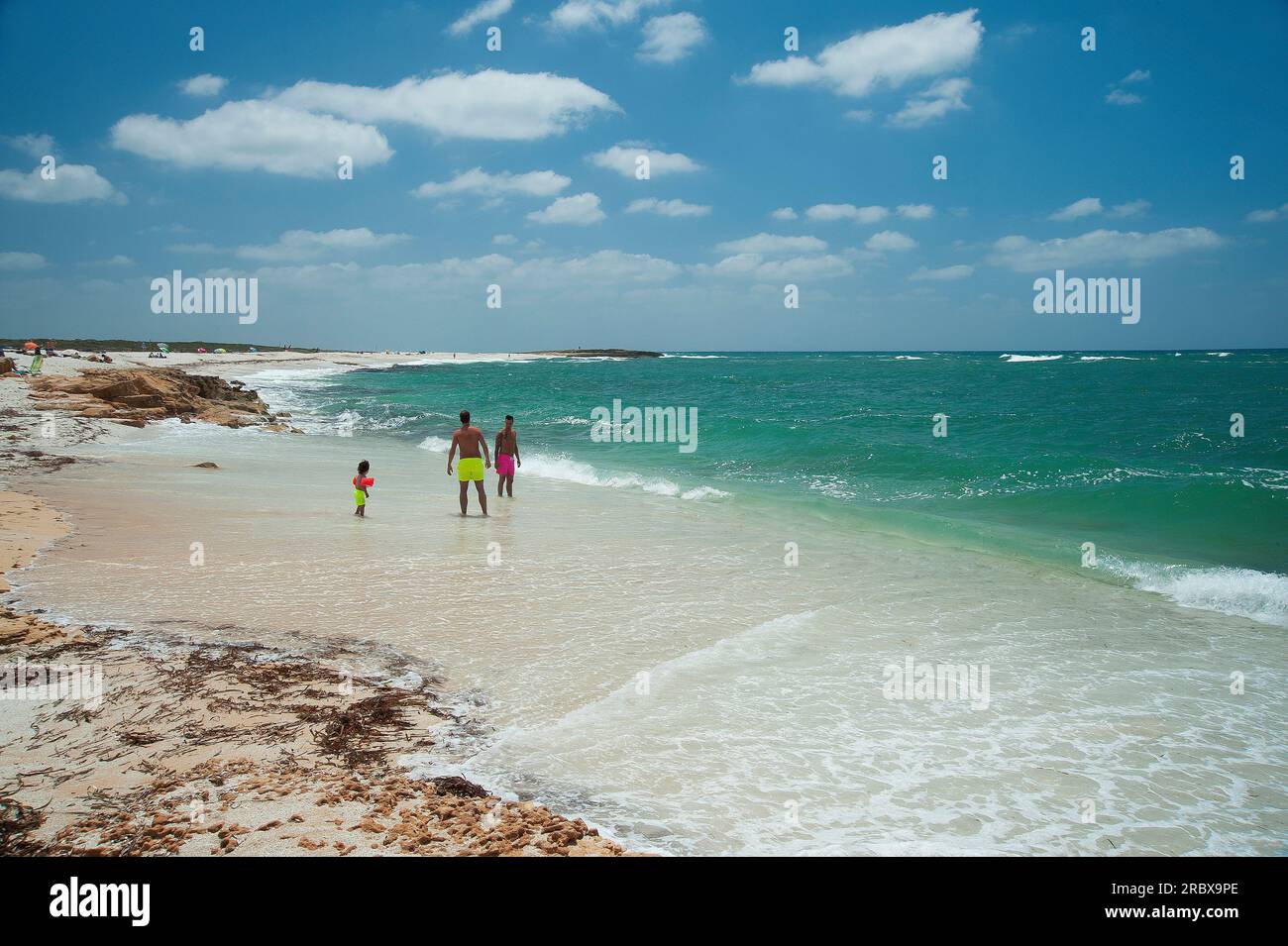 Cabras sardinia hi-res stock photography and images - Alamy
