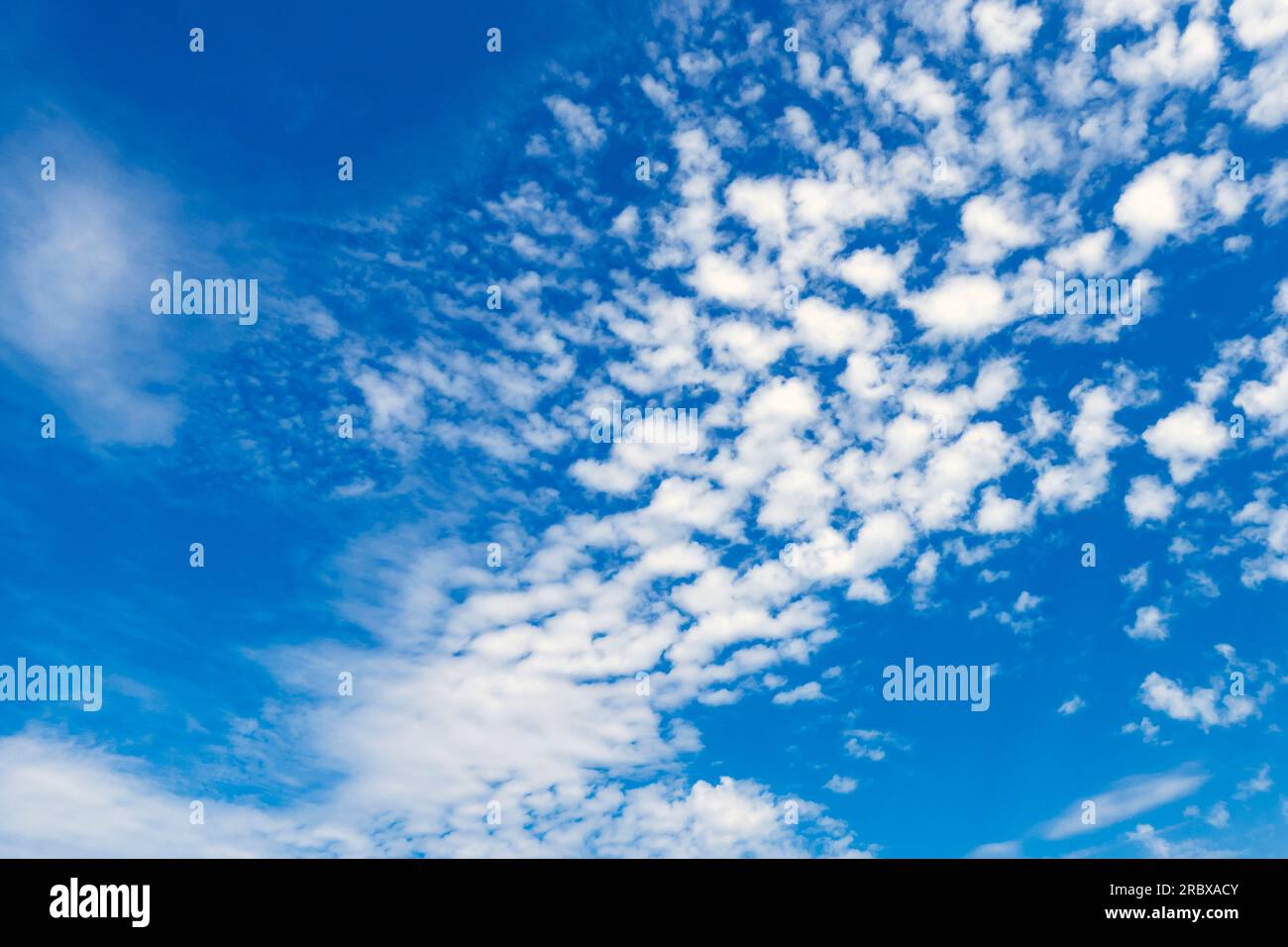 Cheerful summer sky with lamb clouds Stock Photo - Alamy