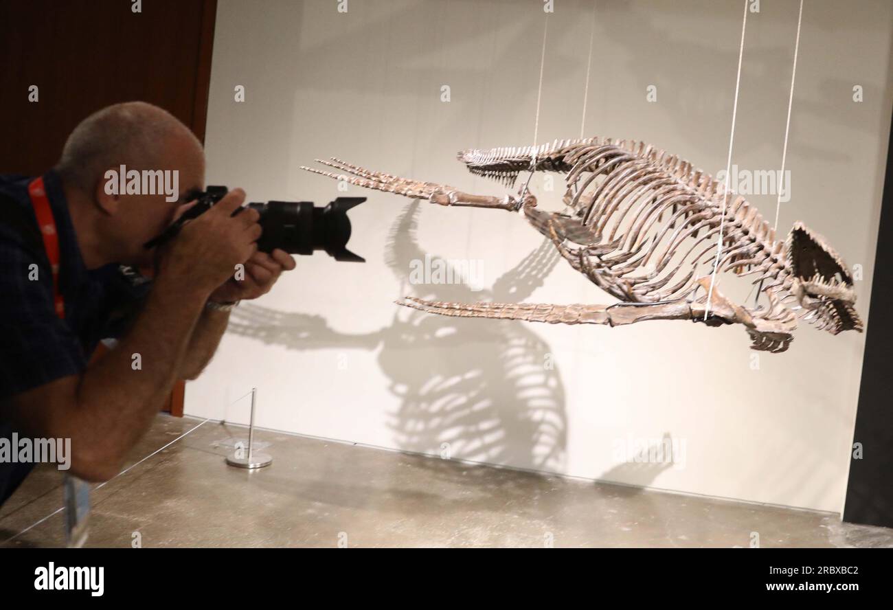 July 11, 2023, New York City, New York, USA: PLESIOSAUR 'NESSIE ...