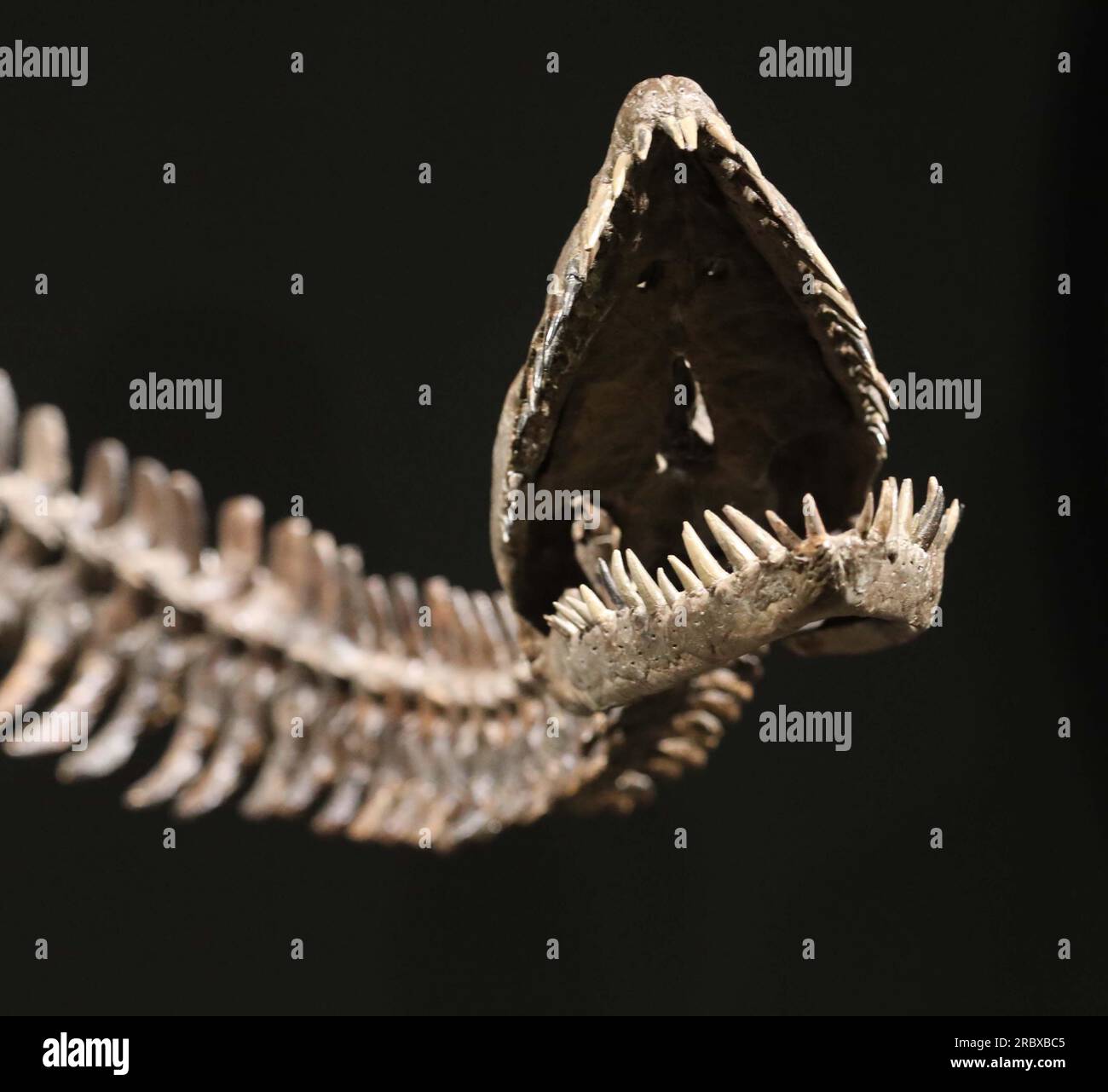 July 11, 2023, New York City, New York, USA: A detail view of ...