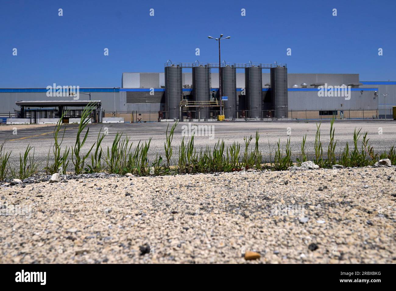 Weeds grow in the concrete and pavement in a parking lot at the former ...