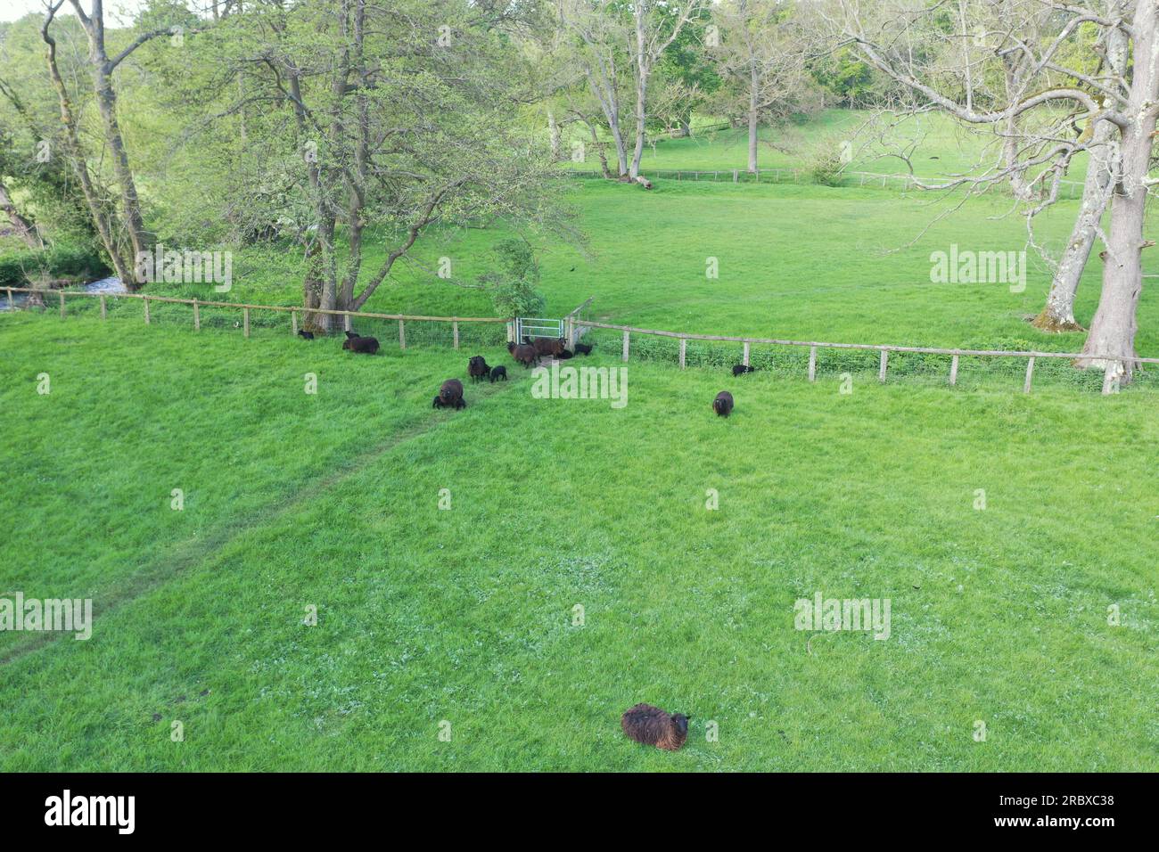 Drone perspective over green fields of Hook, Hampshire, England. Images ...