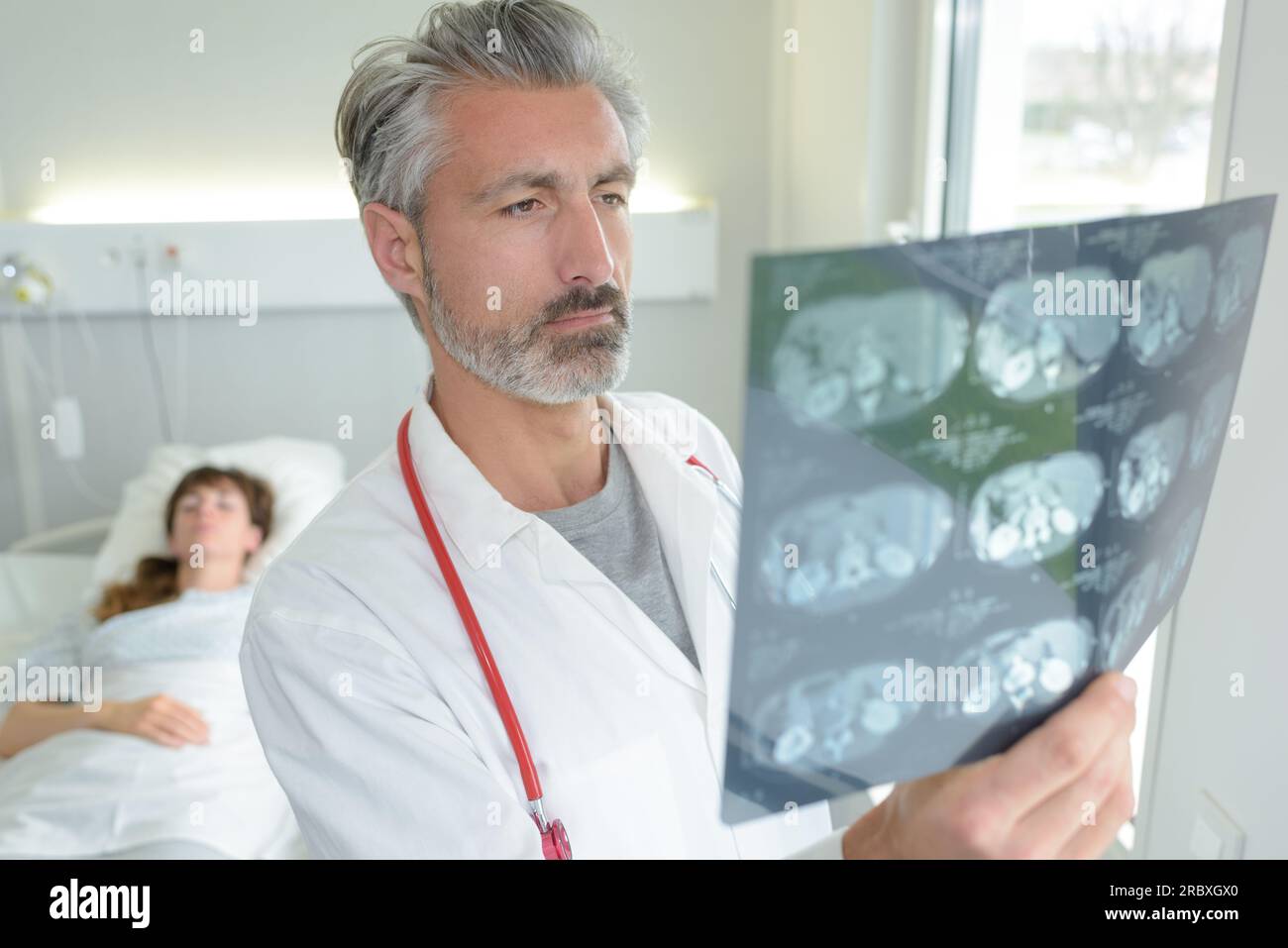 doctor studying scan results patient in hospital bed in background ...